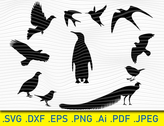Birds Svg Birds Bundle Svg Birds Svg Files for Cricutbirds | Etsy