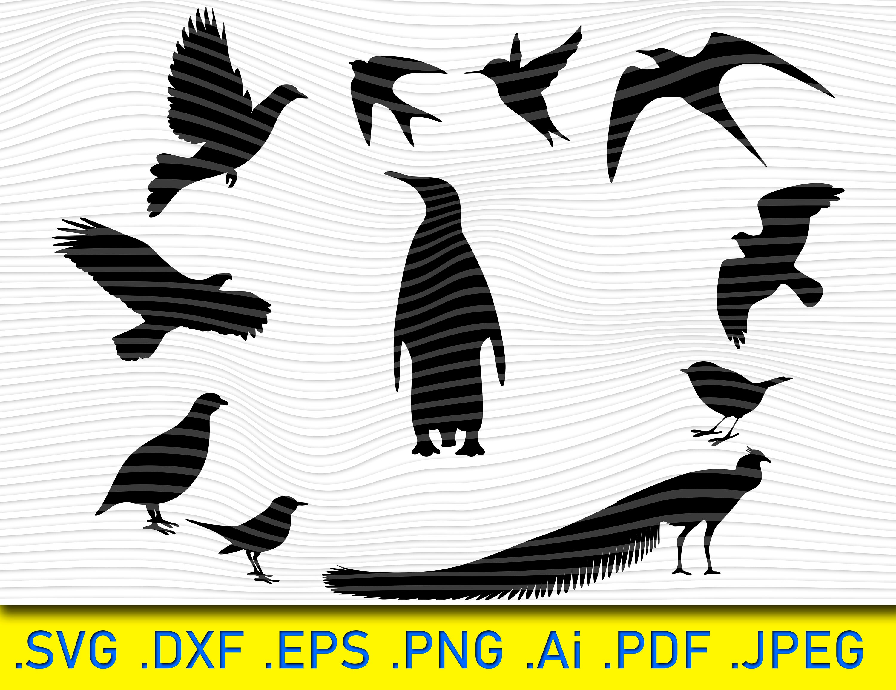 Birds Svg Birds Bundle Svg Birds Svg Files for Cricutbirds | Etsy