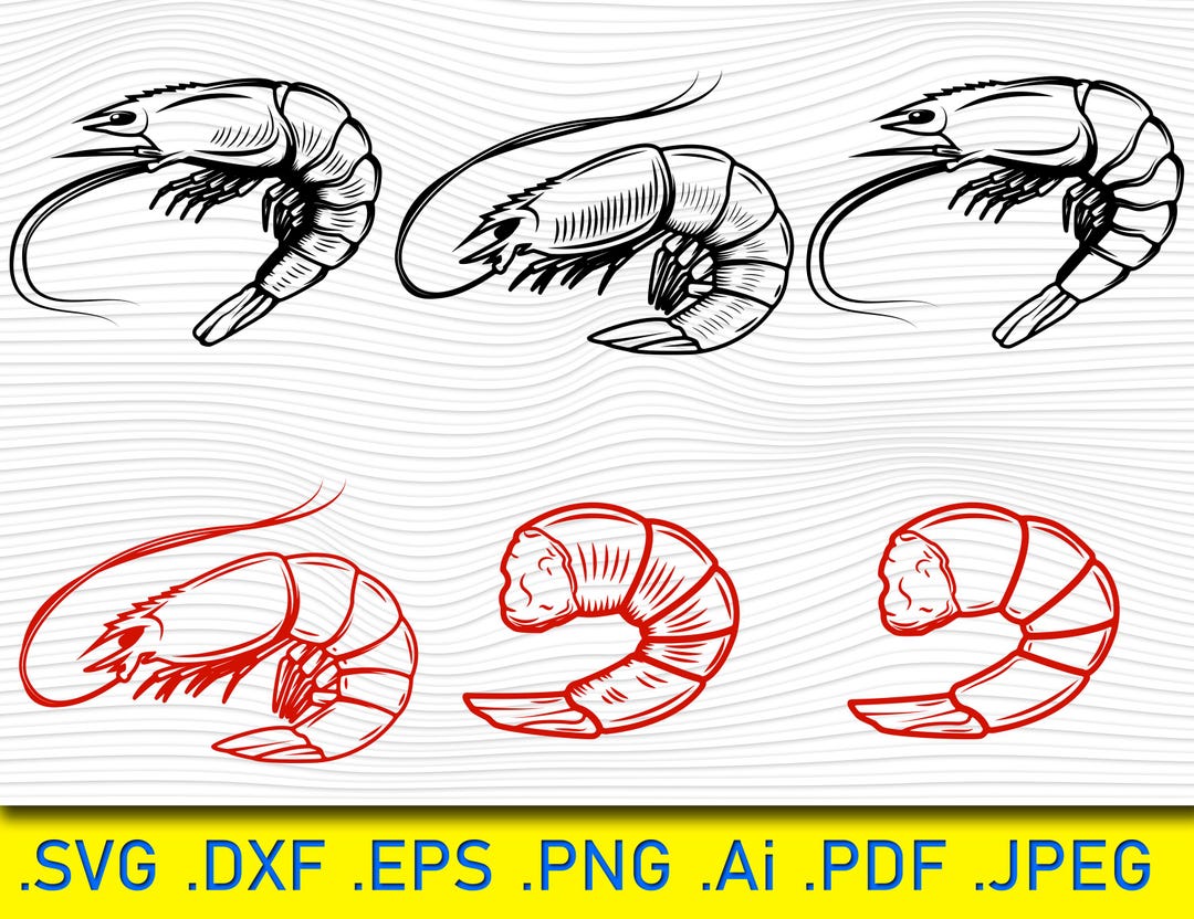 Shrimps SVG Bundle: Nautical Ocean Seafood Designs (digital Download ...