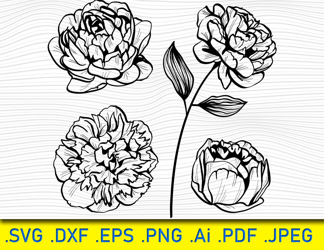 Peonies Clipart, Peony SVG, Flower Clipart, Instant Download, Digital ...