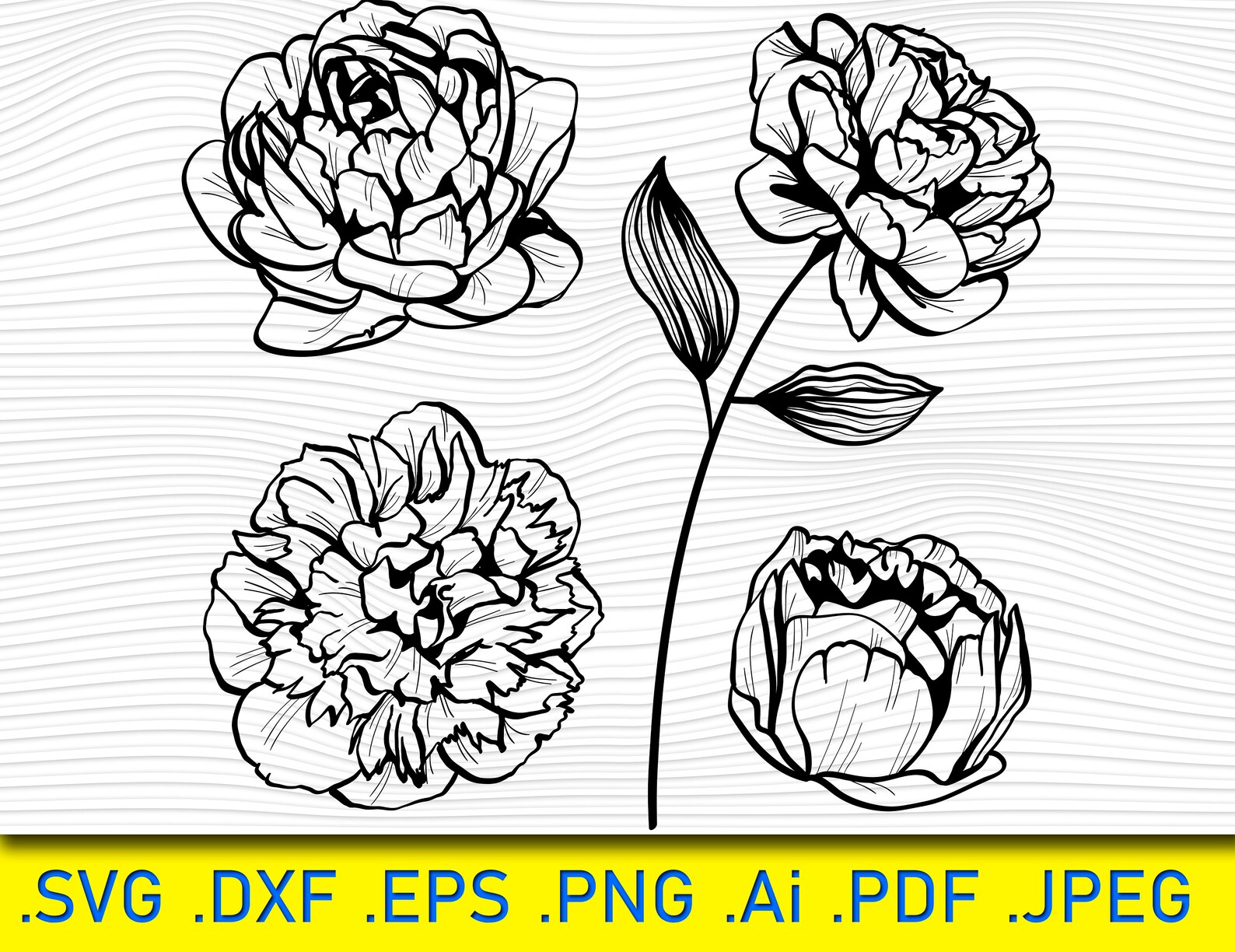 Peonies Clipart Peony SVG Flower Clipart Instant Download | Etsy