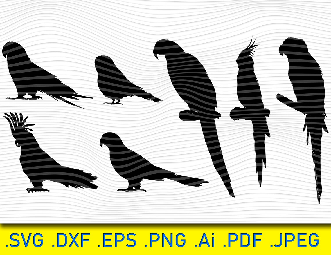 Parrot Bird SVG Files Bundle Flying Bird SVG Sitting Bird - Etsy