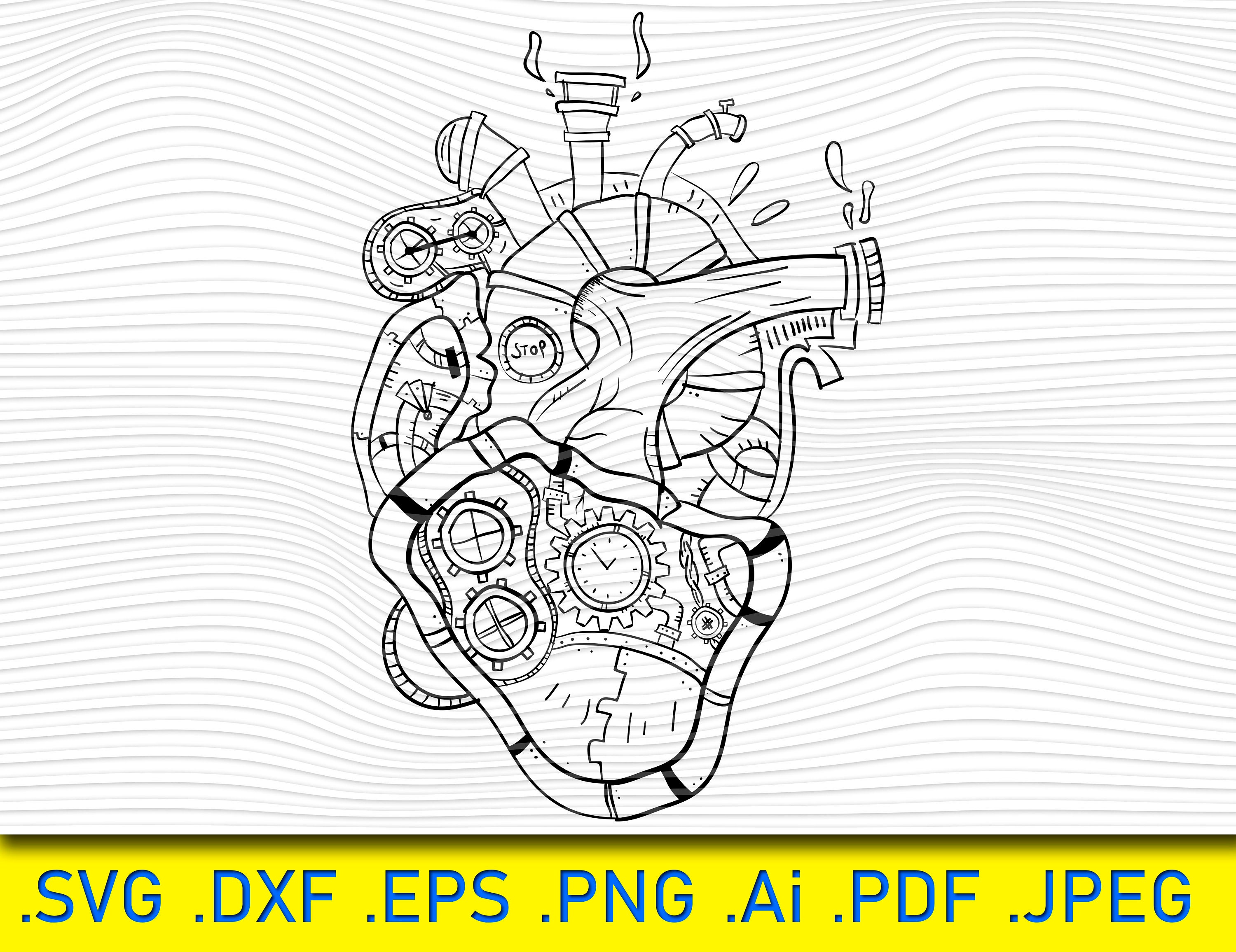 Heart Anatomy With Graphic Design Anatomical Heart Svg Heart - Etsy