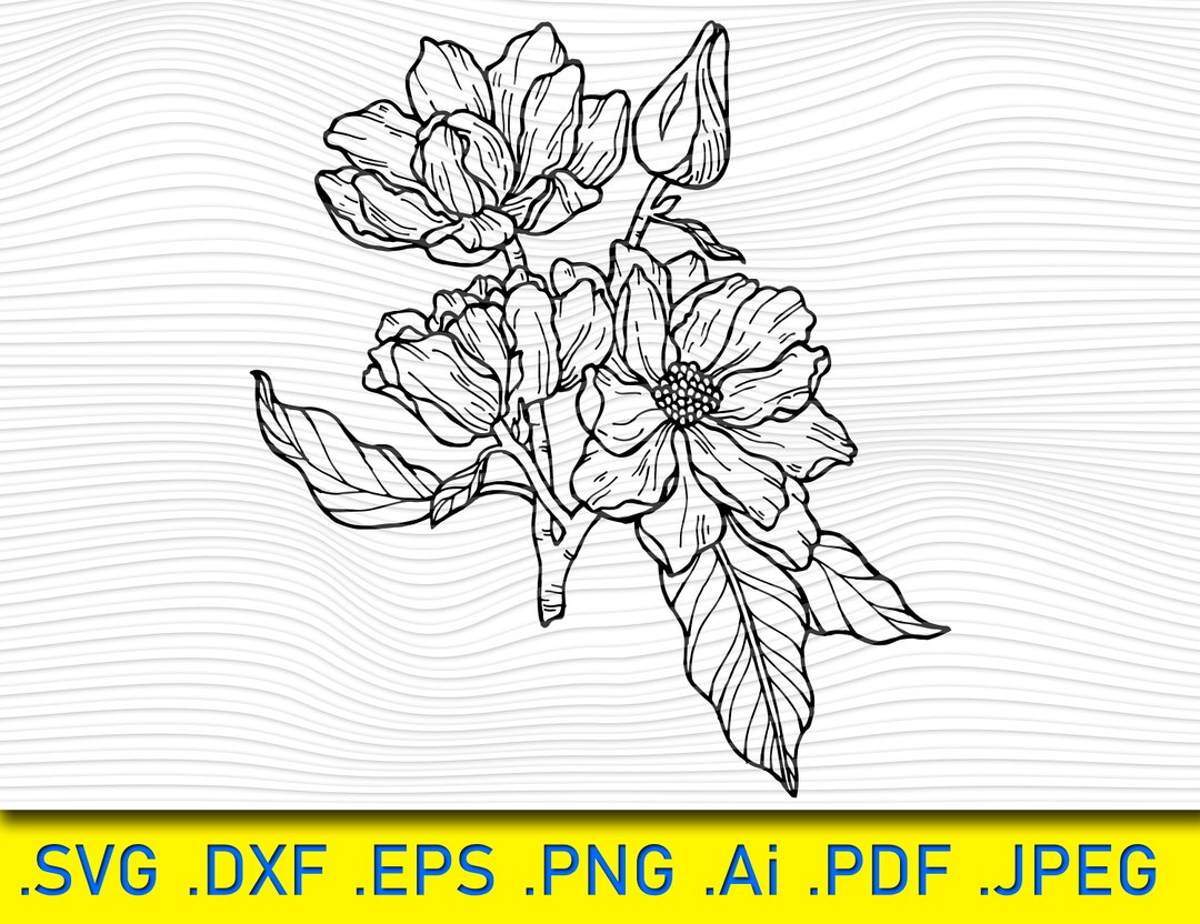 Magnolia SVG, Flower Svg, Magnolia Cut File, Magnolia Clipart, Floral ...