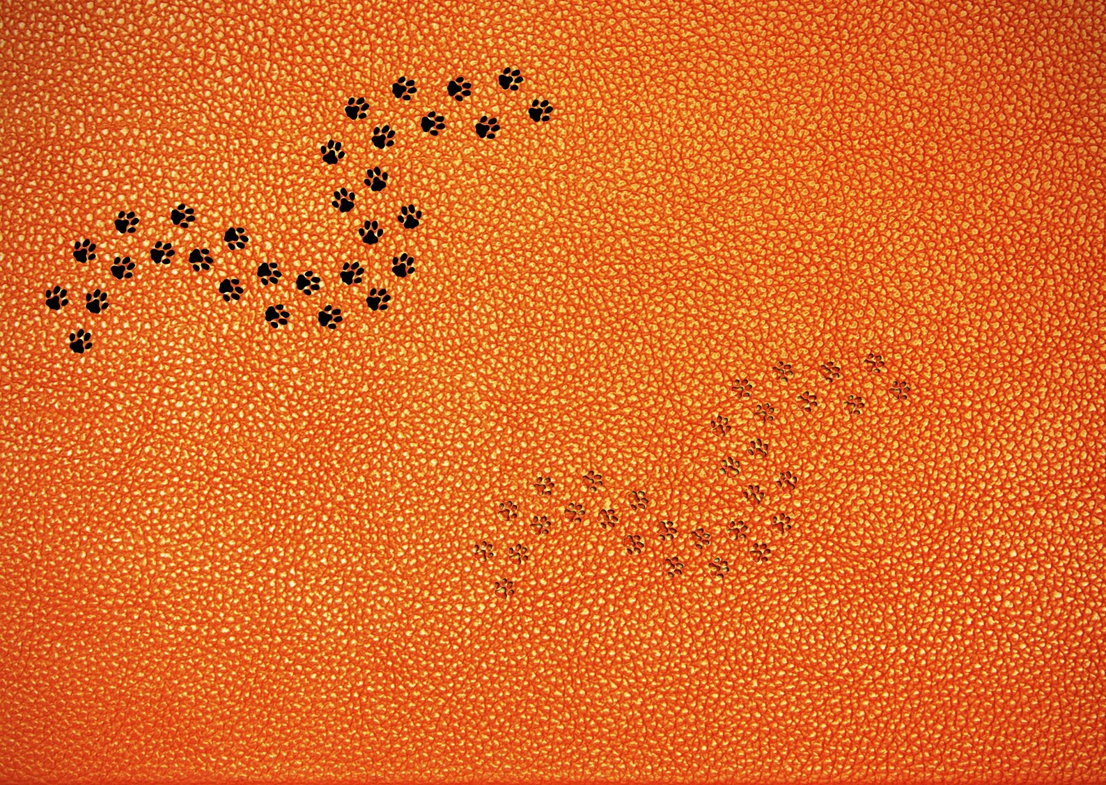 Cat Paw Print Path SVG: Pet Footprint Cut File - Etsy