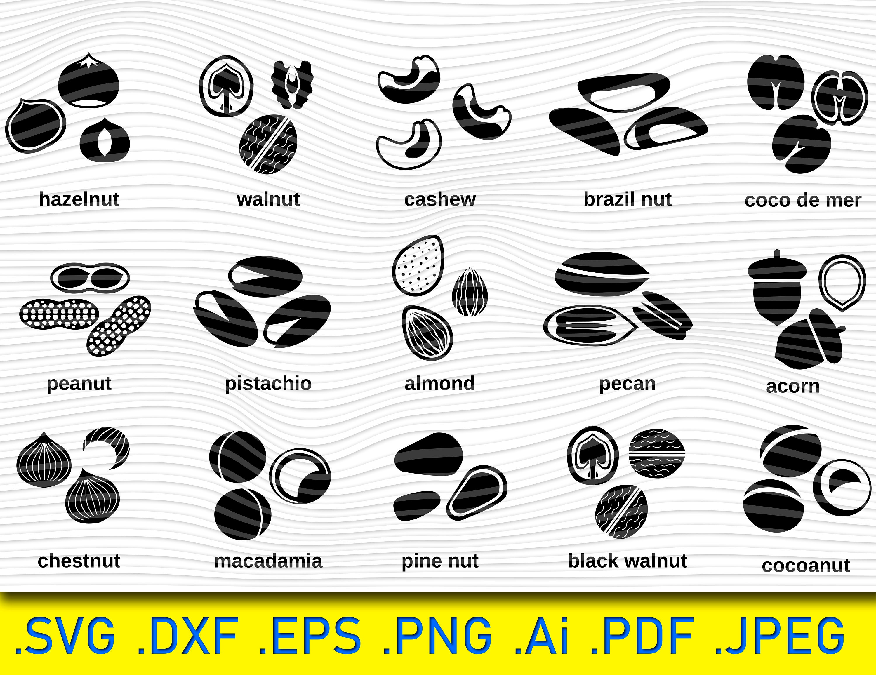 Seed Nut Svg Bundle Nutcracker Svg Nuts Vector Silhouette - Etsy