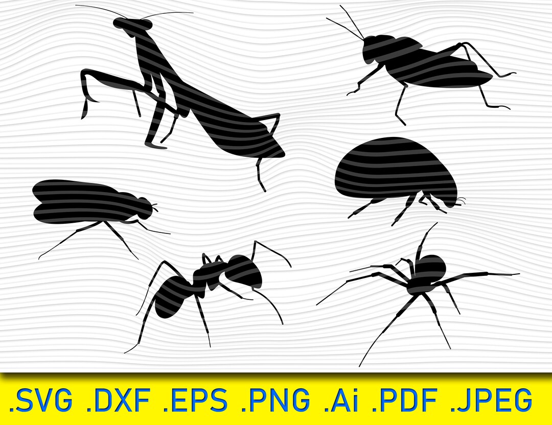Insects Svg Files, Insects Png, Butterfly SVG Bundle, Bug Svg, Insects ...
