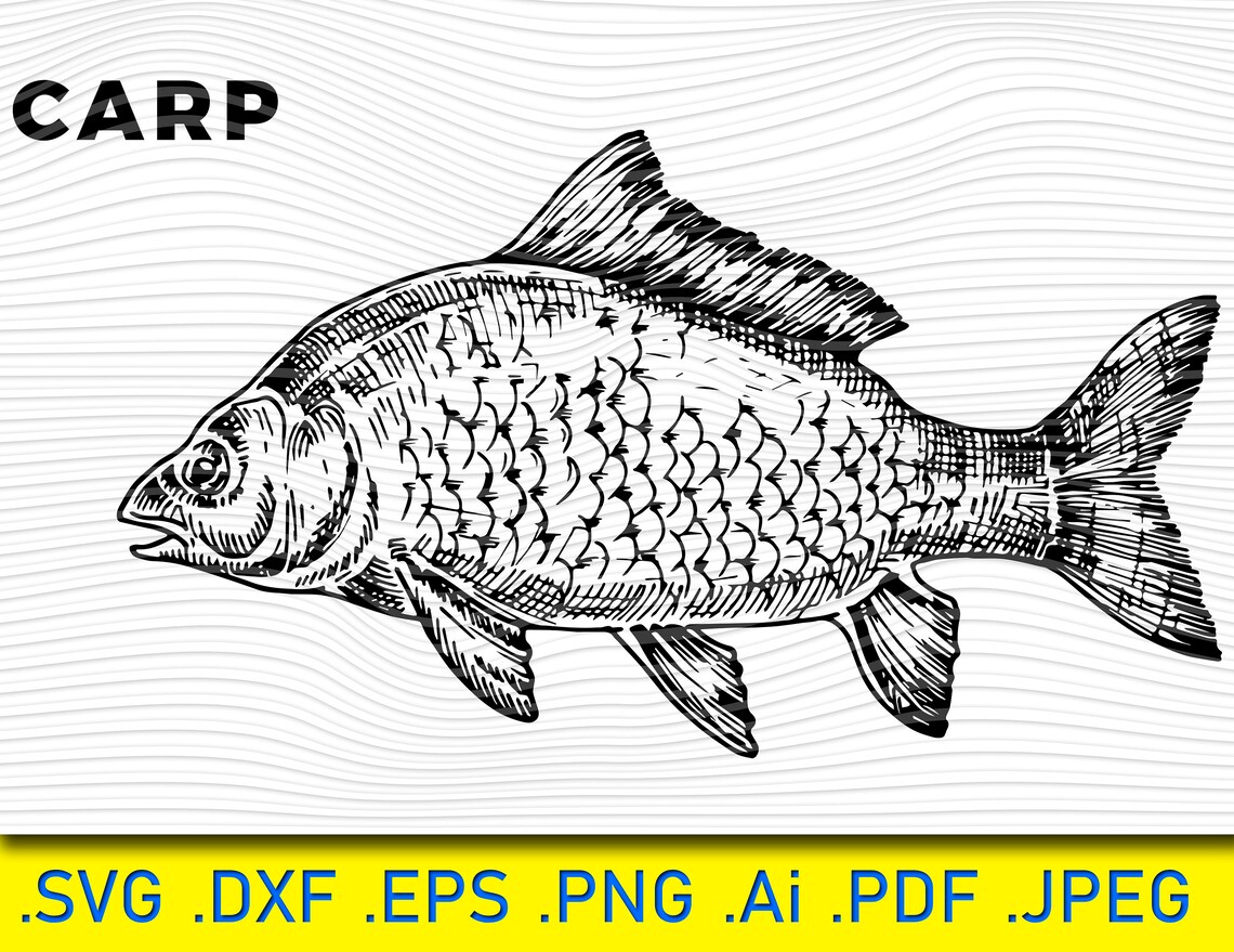 Carp SVG Fishing Svg Fish Svg Fishing Clipart Fishing - Etsy