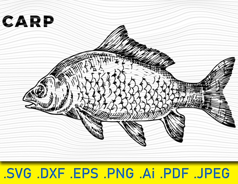 Carp SVG, Fishing Svg, Fish Svg, Fishing Clipart, Fishing Files for ...