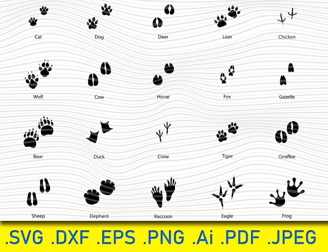40 Animal and Bird Steps, Animal Tracks Svg, Animal SVG, Animal Tracks ...
