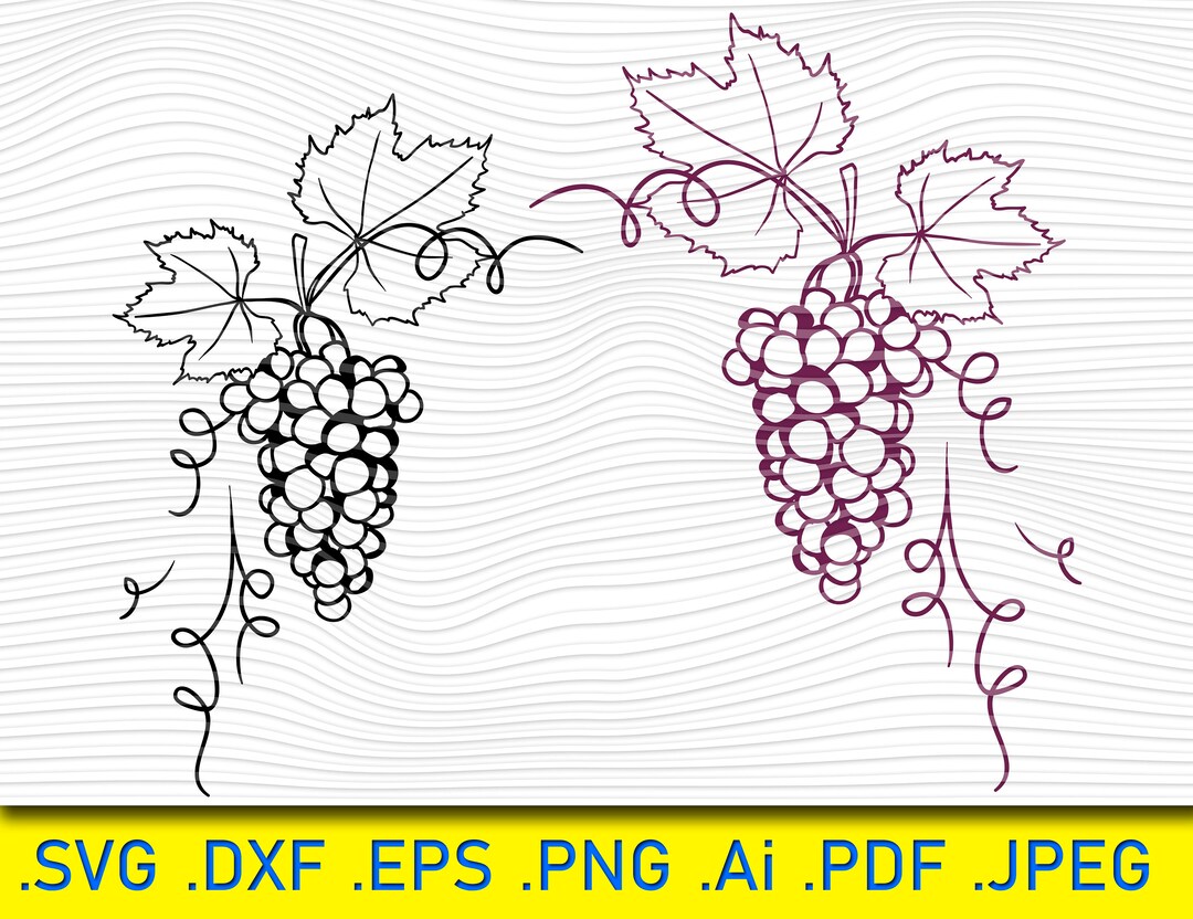 Painted Grapes, Grape SVG, Fruit Svg, Wine Svg, Grape Clipart, Grape ...