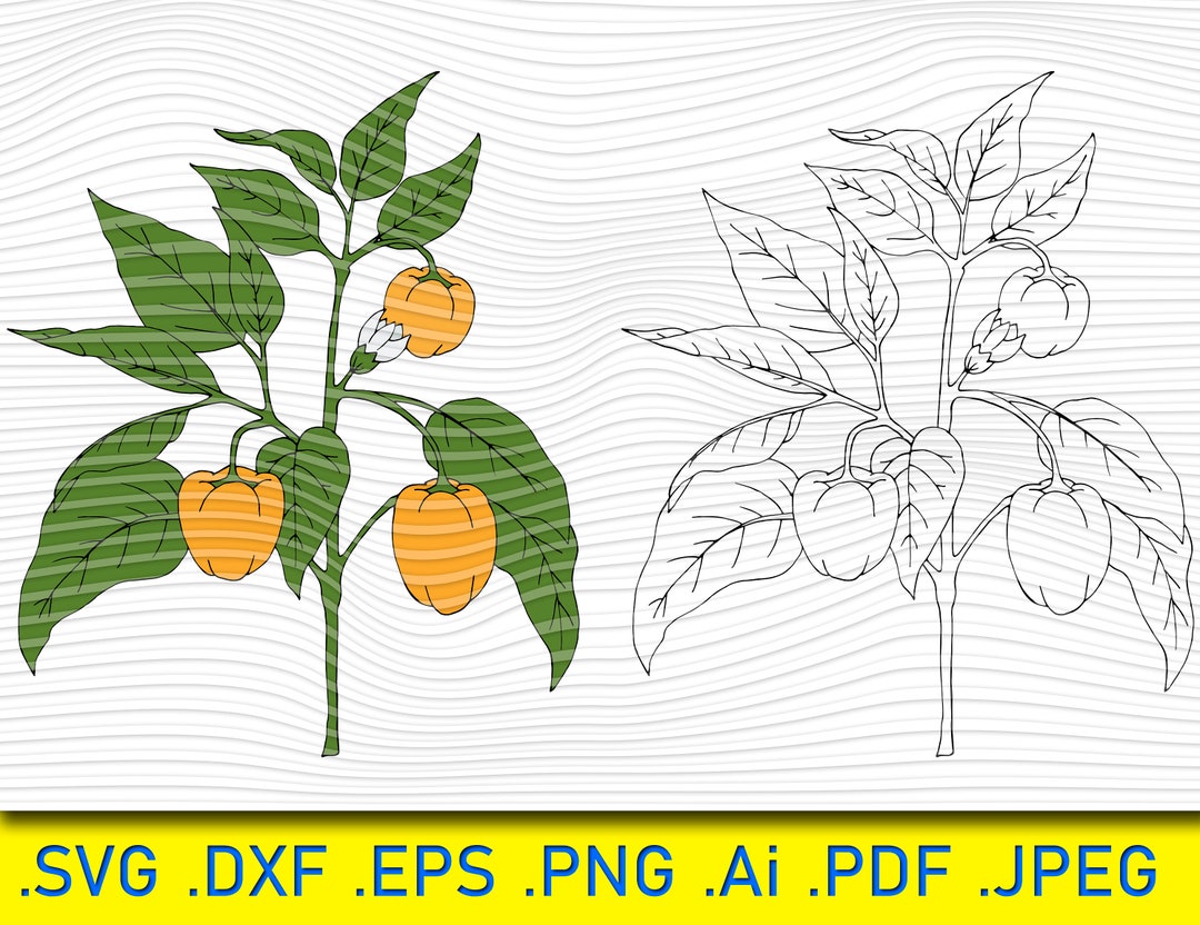 Pepper Bush, Bell Pepper Svg, Bell Pepper Logo Svg, Fruit Svg ...