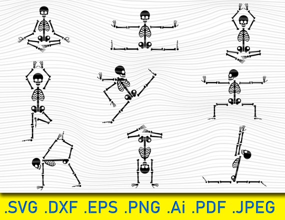 Kung-fu Skeletons Yoga Skeletons Human Pose Anatomy Body | Etsy