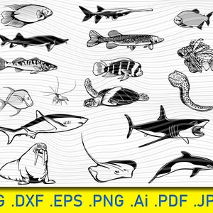 17 Sea Fish Ocean Animal Fish Svg Fish Clipart Hammerhead - Etsy