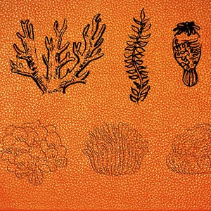 Coral Ocean Cuttable Design Eps File for Silhouette Cameo and Cricut ...