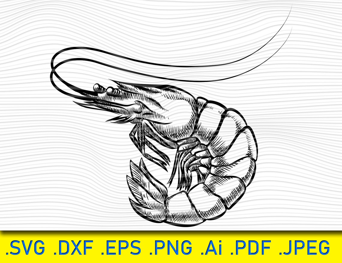 Shrimp Shrimp SVG SVG Files Prawn Svg Clip Art SVG - Etsy Canada