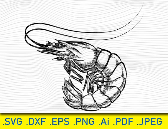 Clip Art De Camarones