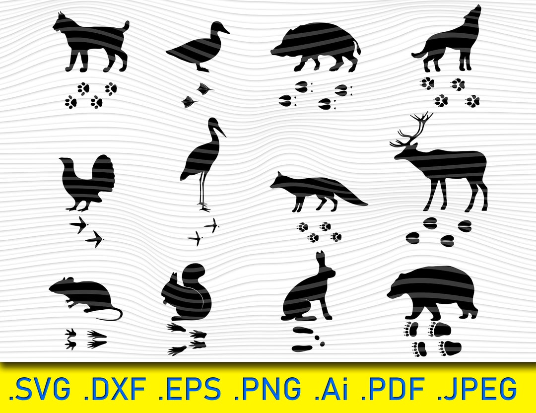 24 Wild Animals, Animal Tracks Svg, Animal SVG, Animal Tracks Set ...