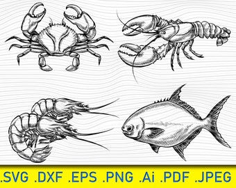 Seafood SVG Bundle, Seafood SVG, Clipart, Seafood Cut Files for ...