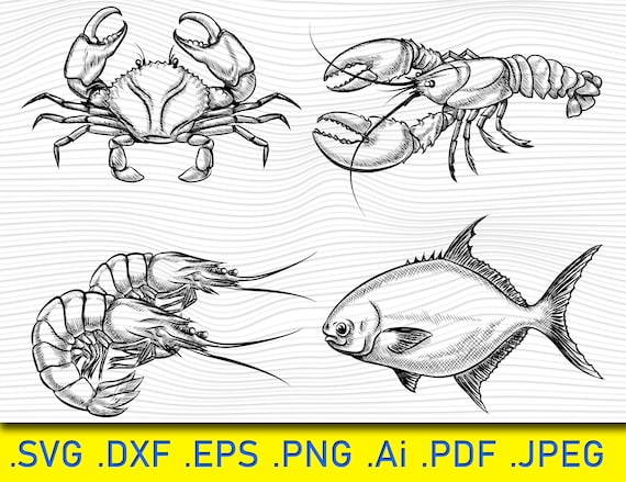 Seafood SVG Bundle Seafood SVG Clipart Seafood Cut Files - Etsy België