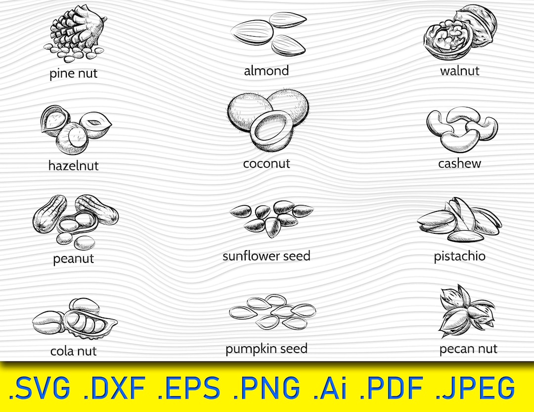 24 Natural Organic Nuts Elements Collection,nut Svg Bundle, Nutcracker ...