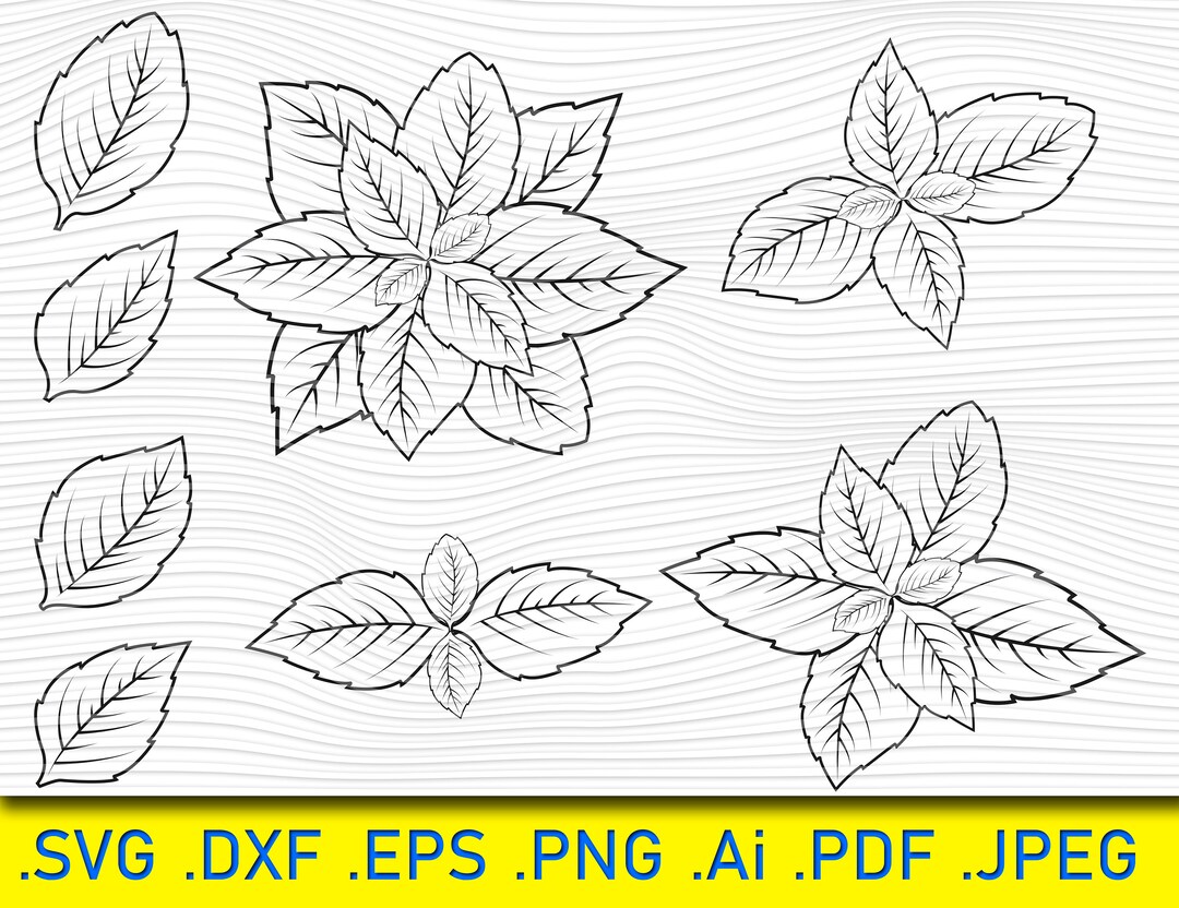 Collection Basil Leaves, Basil SVG, Leaf SVG, Herbs SVG, Basil Clipart ...