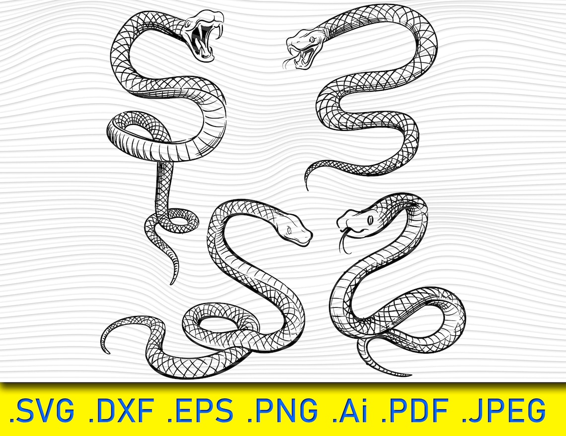 Snake Set Wildlife Snakes Slytherin Snake Svg Snake - Etsy