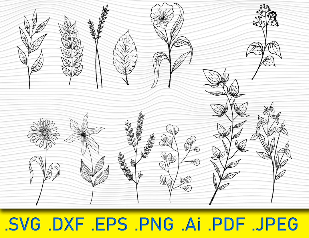 12 Herb Flowers Svg, Herbs Svg, Thyme Svg, Kitchen Svg, Garden Svg ...