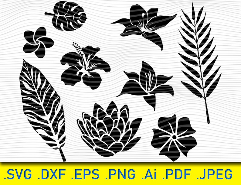 Flower SVG Hand Drawn Plants Svg Instant Download SVG | Etsy