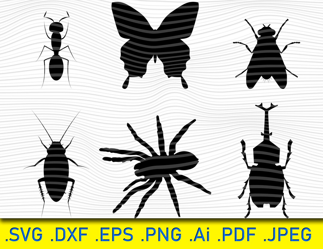 Insect Svg, Bug Svg, Insects Svg, Insect Clipart, Dragonfly Svg, Svg ...