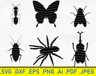 Insect Svg, Bug Svg, Insects Svg, Insect Clipart, Svg Cutting Files ...