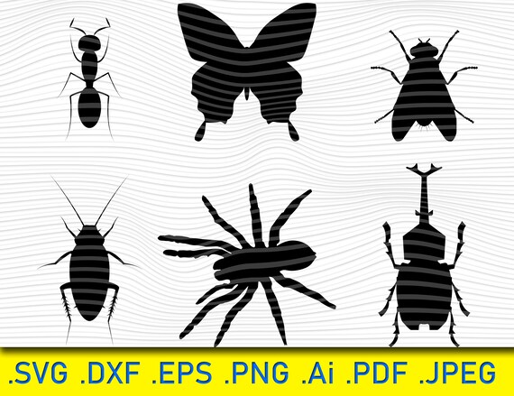 Insect Svg Bug Svg Insects Svg Insect Clipart Dragonfly - Etsy