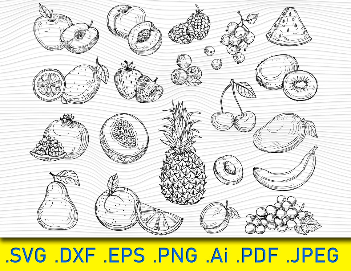 22 Fruits Strawberry Melon Peach Mango Hand Drawn Fruits - Etsy