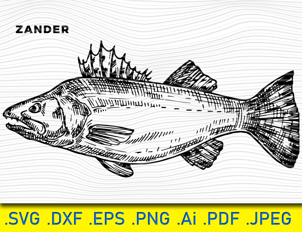 Realistic Fish Walleye SVG Zander Svg Fishing Svg Fish - Etsy