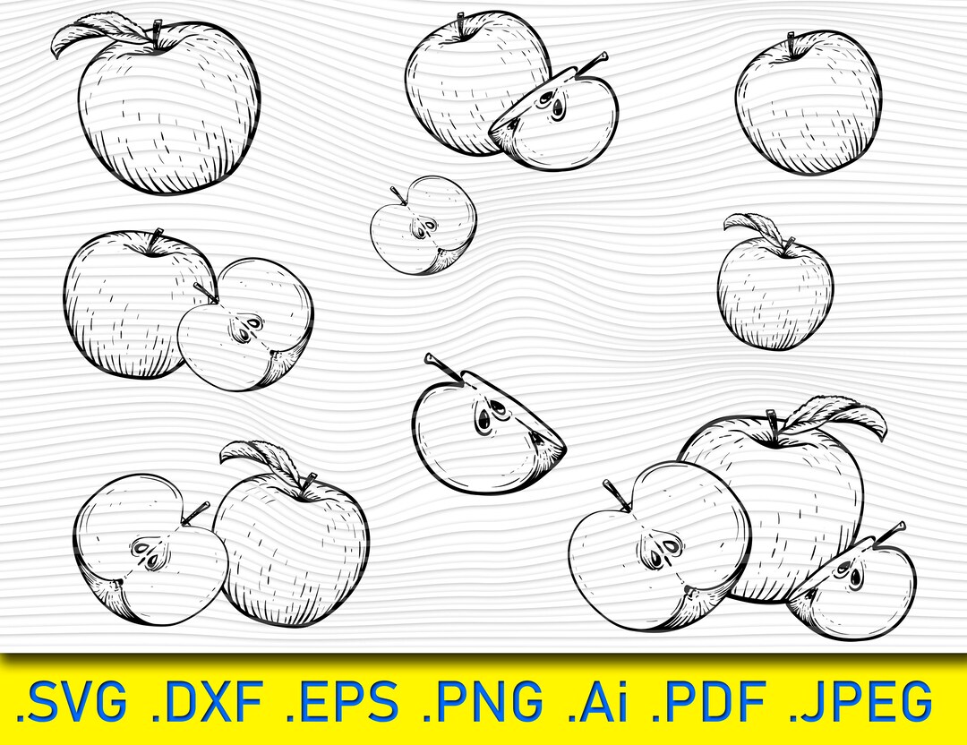 Apple SVG, Fruit SVG, Apple Cut File, School SVG, Apple Shape Vector ...