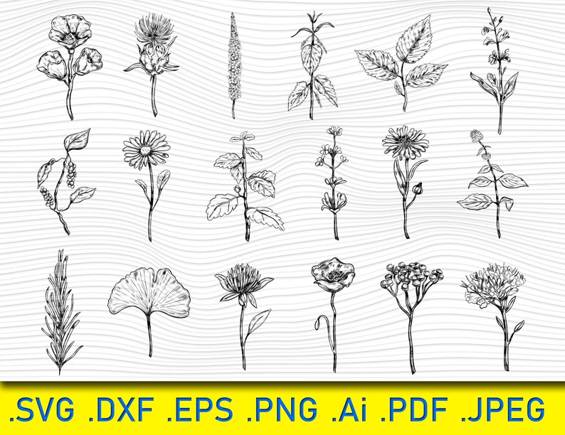 18 Herbs SVG Herb Cut Files Garden Svg Leaf Cut File Plant - Etsy