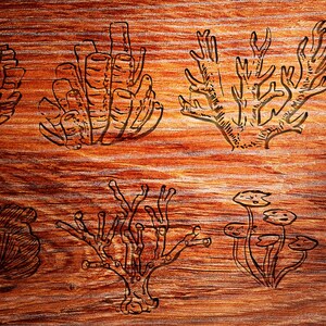 Coral Ocean Cuttable Design Eps File for Silhouette Cameo and Cricut ...