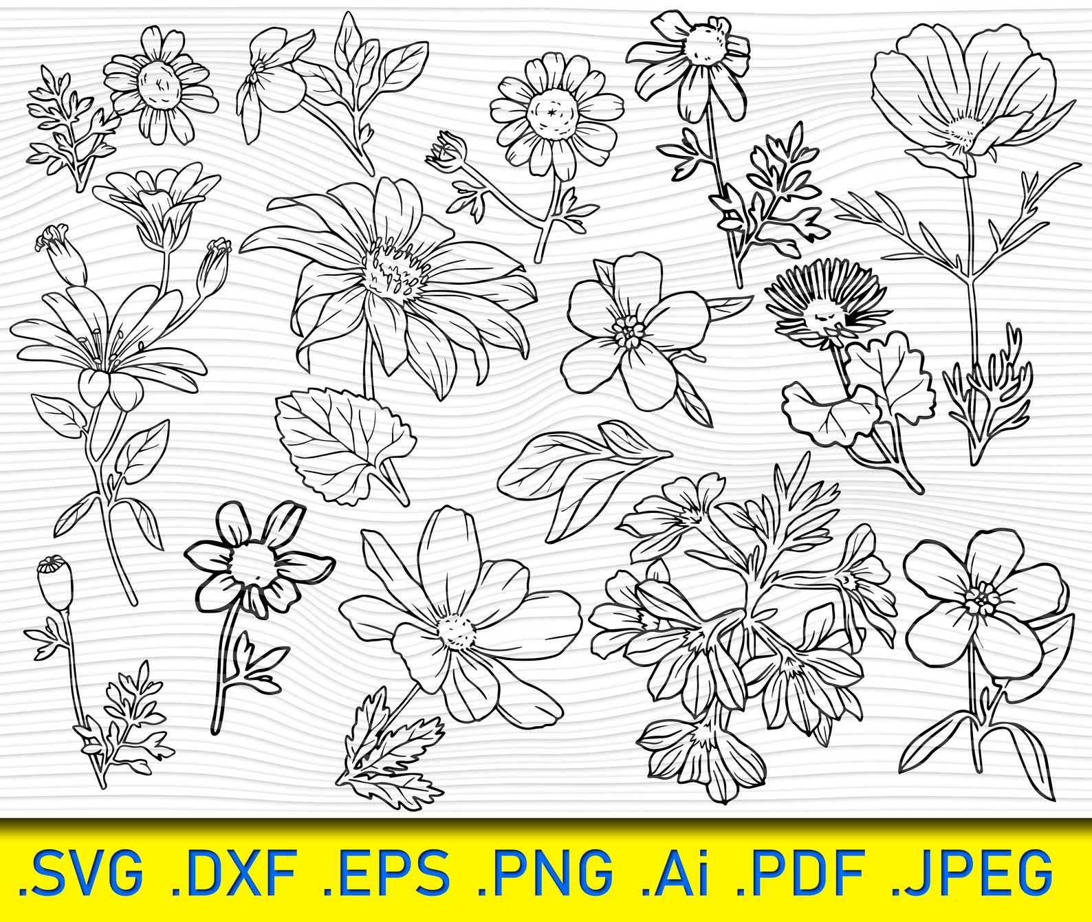 Flower SVG, Hand Drawn Plants Svg, Instant Download Rose SVG, Rose ...