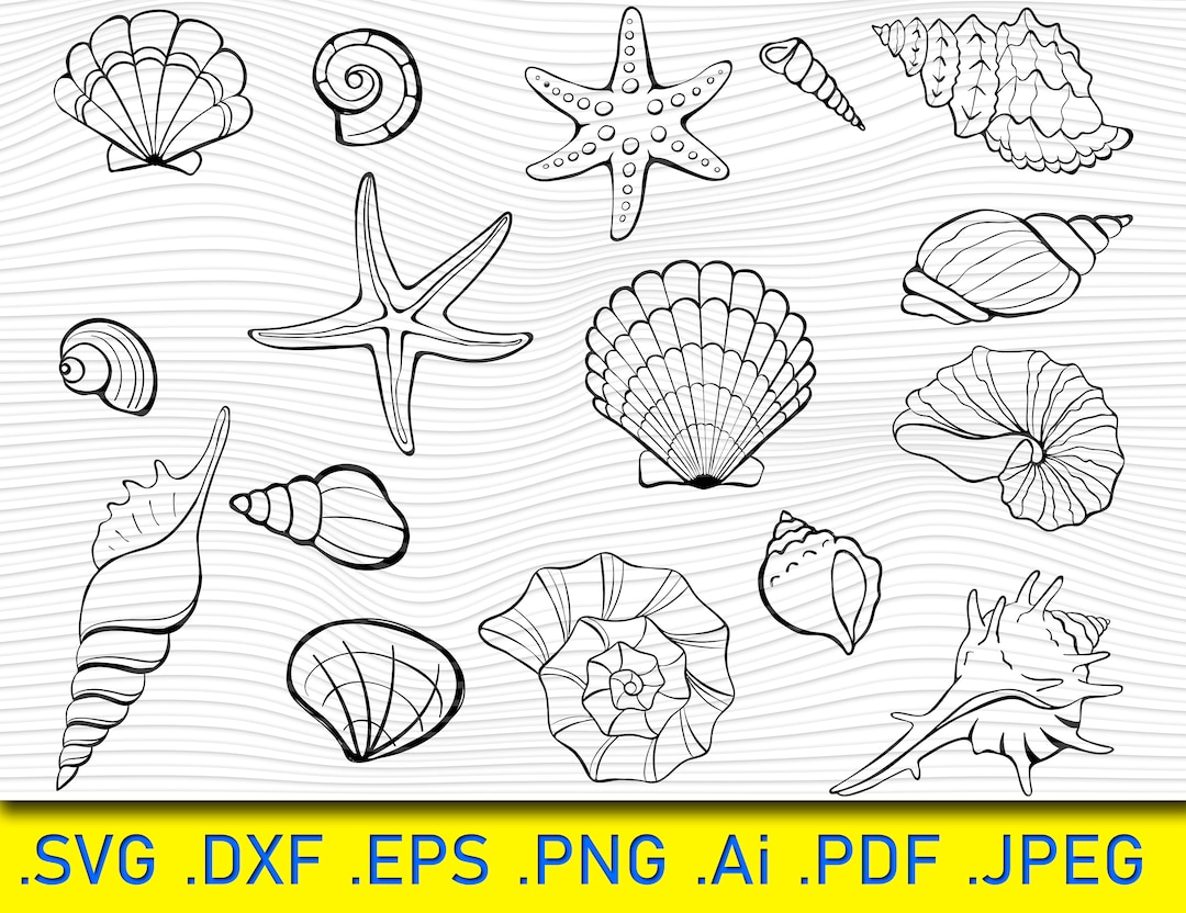 17 Seashells SVG, Cricut Cut Files, Layered Files, Silhouette. DXF. PNG ...