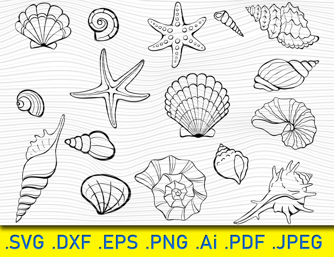 17 Seashells SVG Cricut Cut Files Layered Files Silhouette. | Etsy