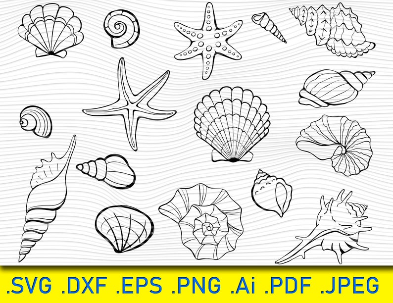 17 Seashells SVG Cricut Cut Files Layered Files Silhouette. | Etsy
