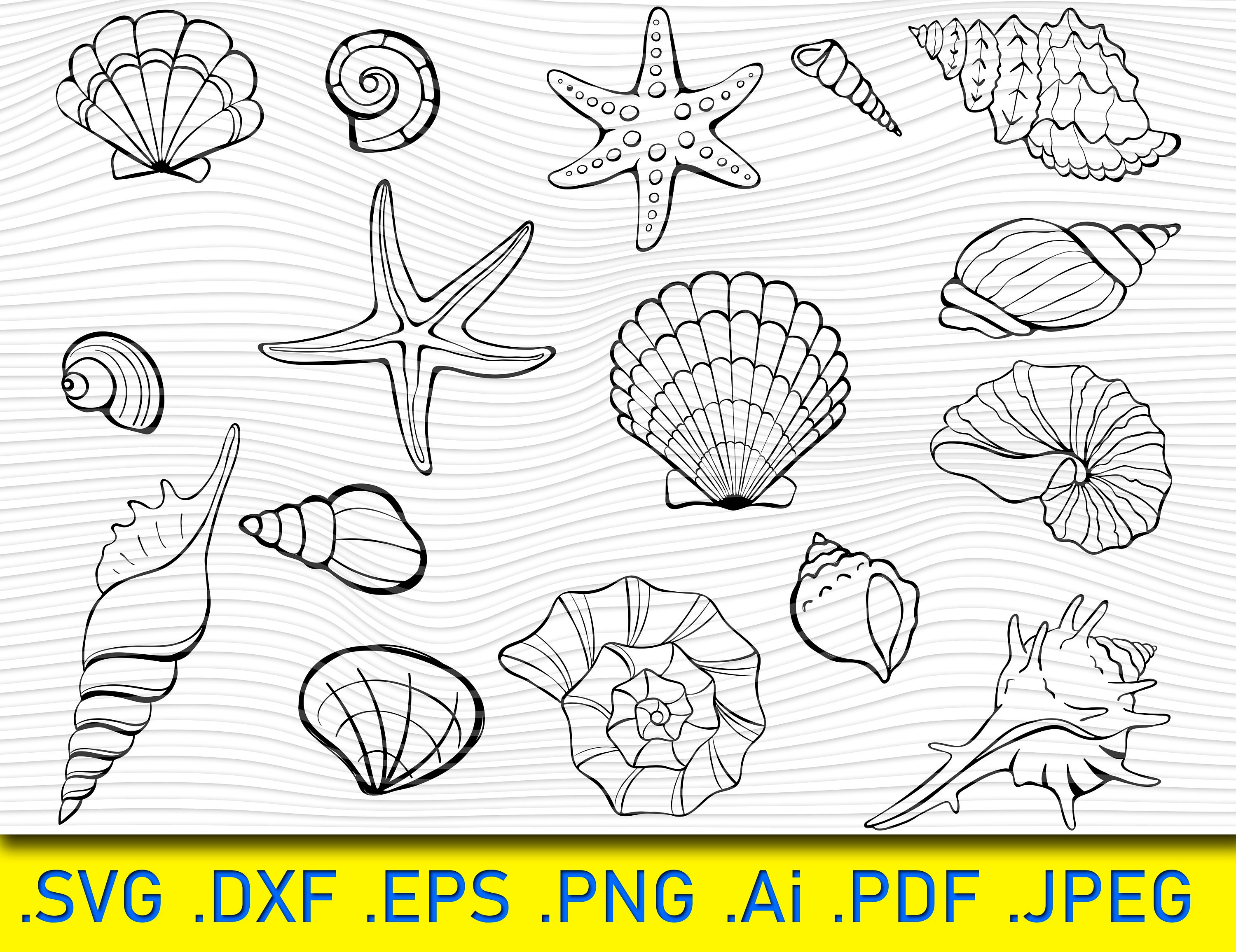 17 Seashells SVG Cricut Cut Files Layered Files Silhouette. | Etsy