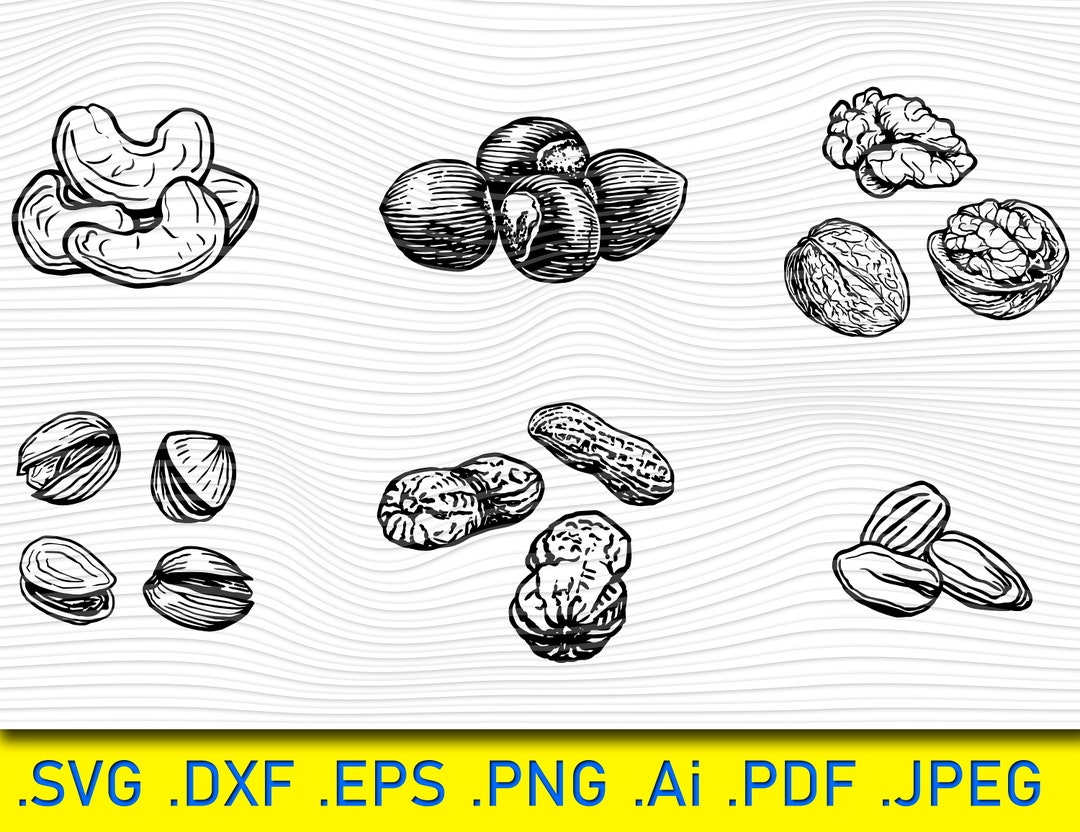 Natural Organic Nuts Elements Collection,nut Svg Bundle, Nutcracker Svg ...