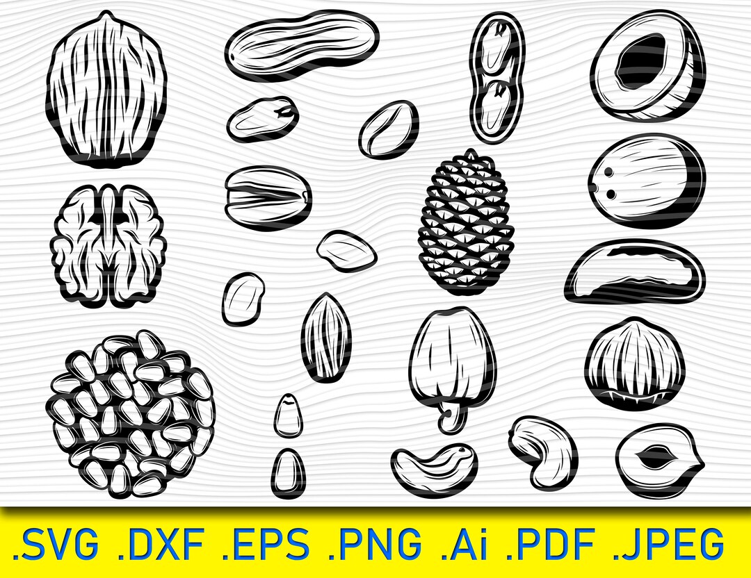 22 Natural Organic Nuts Elements Collection,nut Svg Bundle, Nutcracker ...