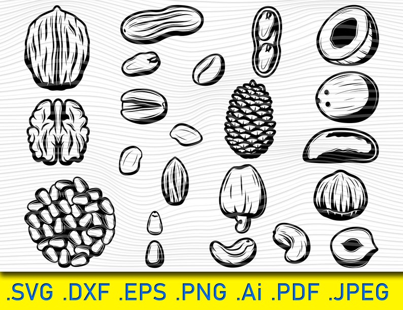 22 Natural Organic Nuts Elements Collection,nut Svg Bundle, Nutcracker ...