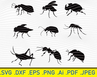Insect Svg, Bug Svg, Insects Svg, Insect Clipart, Svg Cutting Files ...