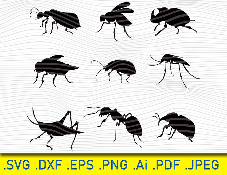 Insect Svg Bug Svg Insects Svg Insect Clipart Dragonfly - Etsy Canada
