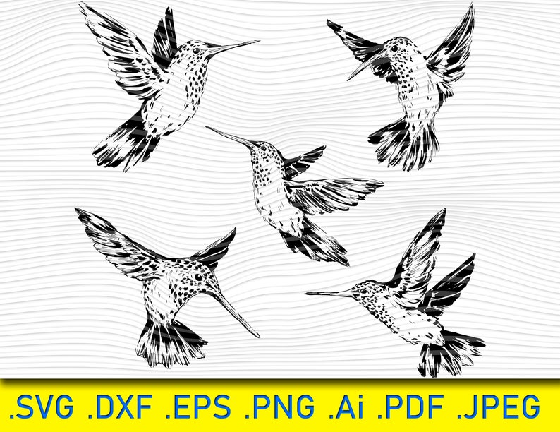 Hummingbird Svg Png Bird SVG PNG Hummingbirds Svg Humming - Etsy Canada
