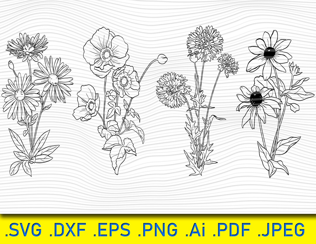 Autumn Flowers, Handrawn Outlines, Flower SVG, Hand Drawn Plants Svg ...