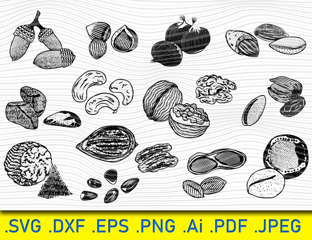 Natural Organic Nuts Elements Collection,nut Svg Bundle, Nutcracker Svg ...